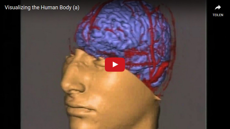 Visualizing the Human Body